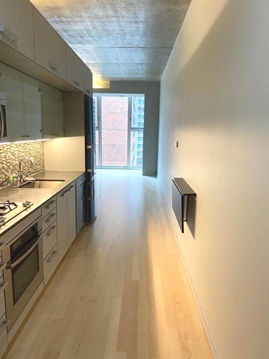 550 N St Clair, Apt 903, Chicago, IL 60611 - Streeterville
