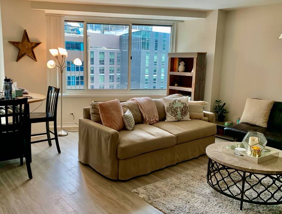 211 E Ohio, Apt 2003, Chicago, IL 60611 - Streeterville