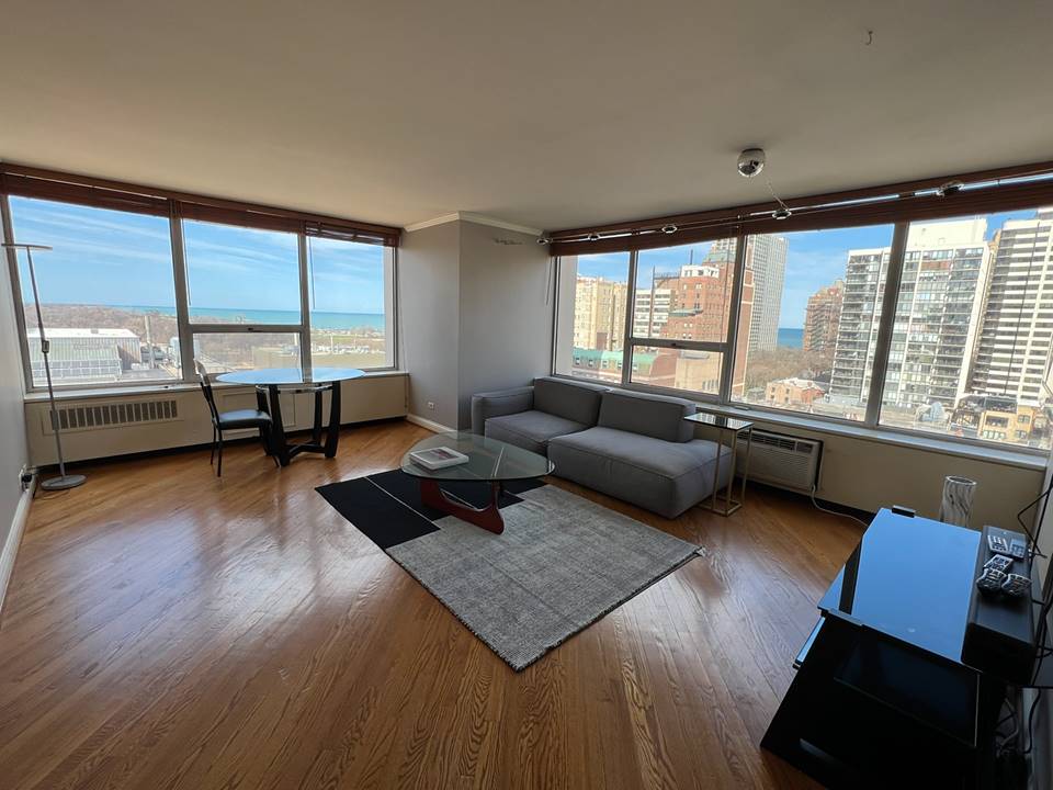 70 W Burton, Apt 1203, Chicago, IL 60610 - Gold Coast
