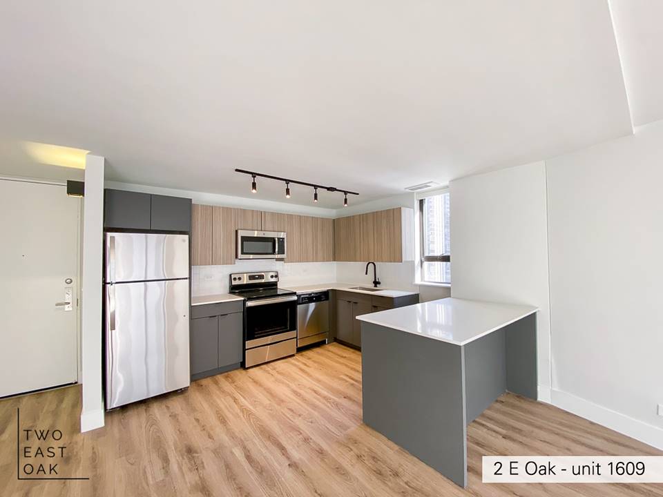 2 E Oak, Apt 1609, Chicago, IL 60611 - Gold Coast