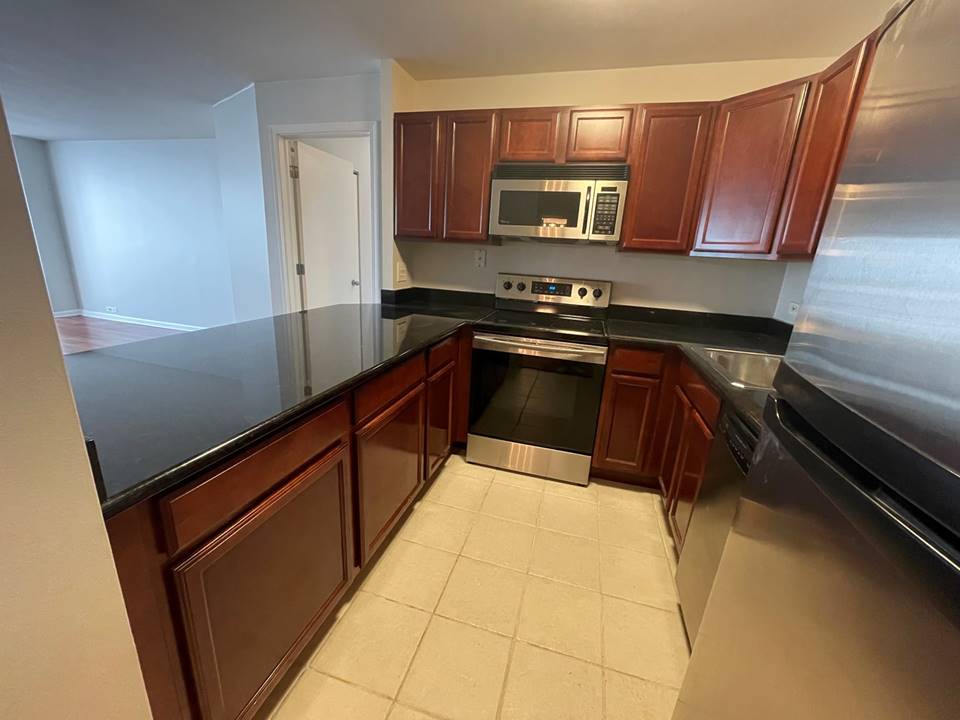 525 W Hawthorne, Unit 2808, Chicago, IL 60657 - Lakeview