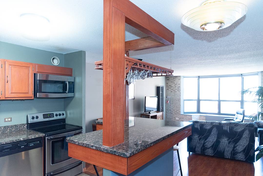 901 S Plymouth, Apt 1704, Chicago, IL 60605 - South Loop