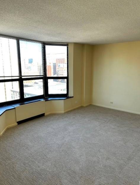 899 S Plymouth, Unit 1710, Chicago, IL 60605 - South Loop
