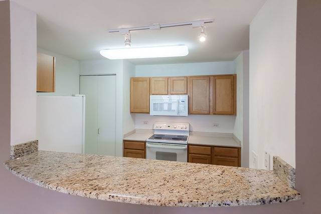 345 N Lasalle, Apt 2004, Chicago, IL 60654 - River North