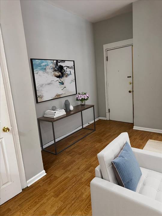 20 E Goethe, Unit 203, Chicago, IL 60610 - Gold Coast