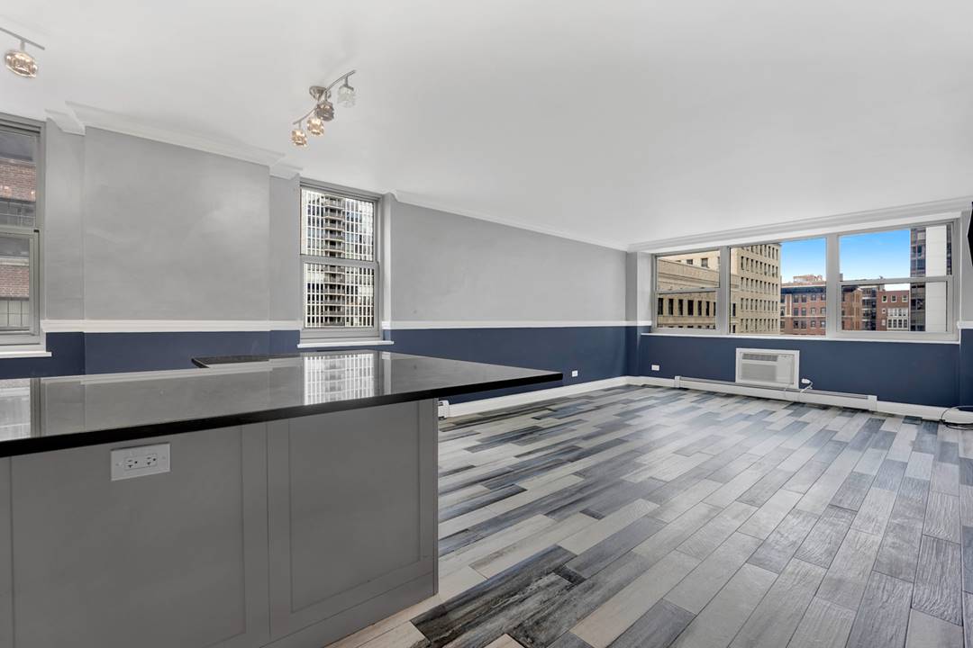 253 E Delaware, Apt 10G, Chicago, IL 60611 - Streeterville