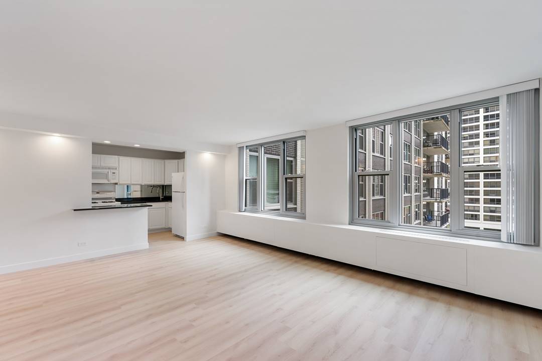 400 E Randolph, Apt 1122, Chicago, IL 60601 - New Eastside