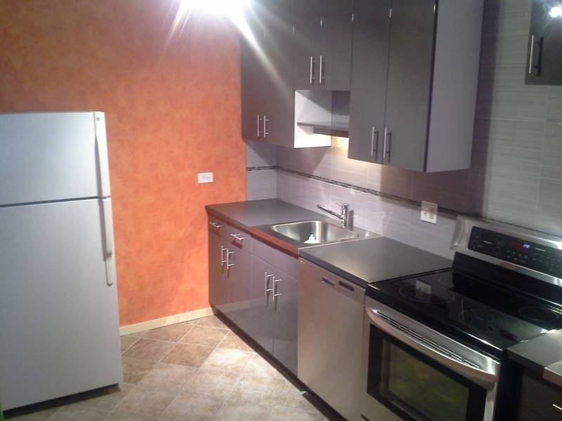 211 E Ohio, Unit 1806, Chicago, IL 60611 - Streeterville