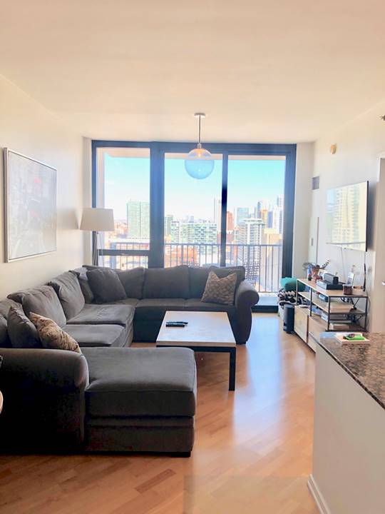 210 S Des Plaines, Apt 1907, Chicago, IL 60661 - The Loop