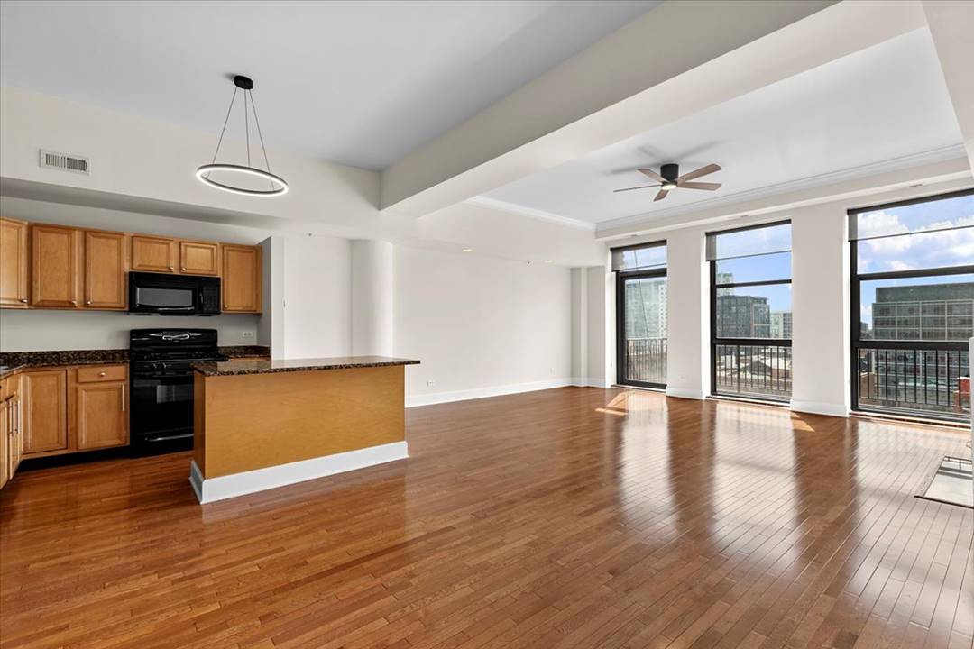 165 N Canal, Apt 1304, Chicago, IL 60606 - The Loop