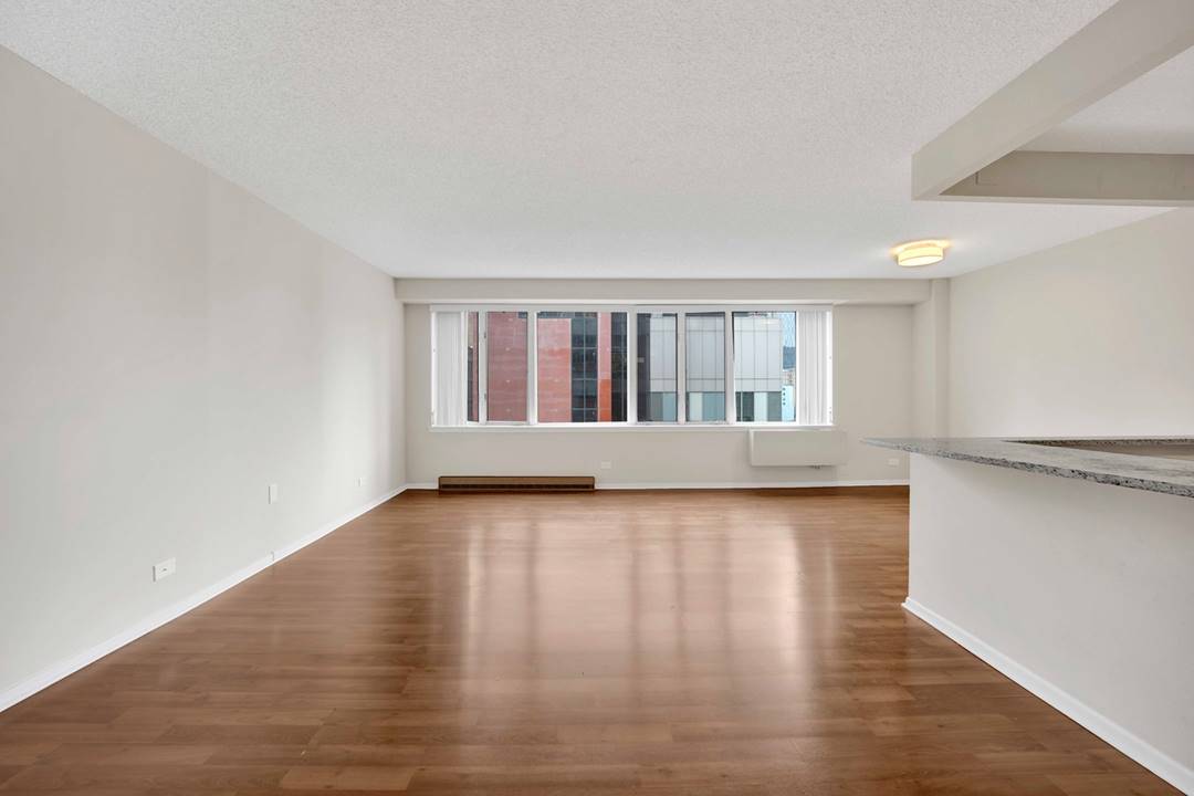 801 S Plymouth, Unit 711, Chicago, IL 60605 - South Loop