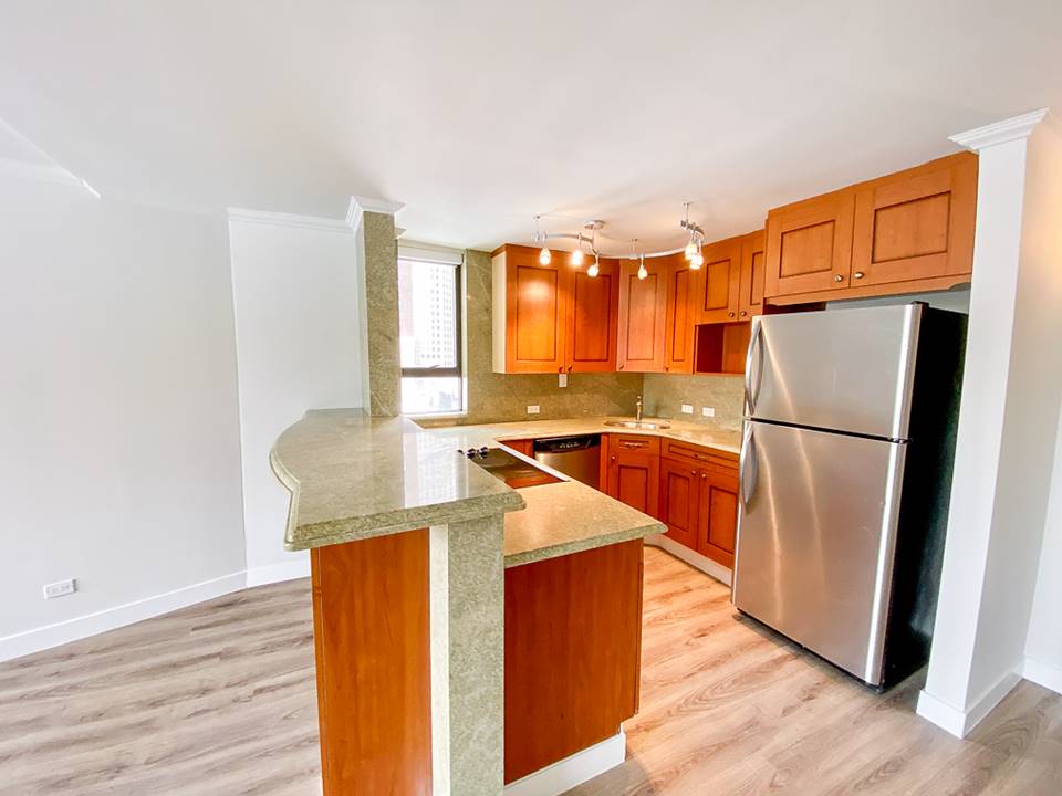 2 E Oak, Apt 910, Chicago, IL 60611 - Gold Coast