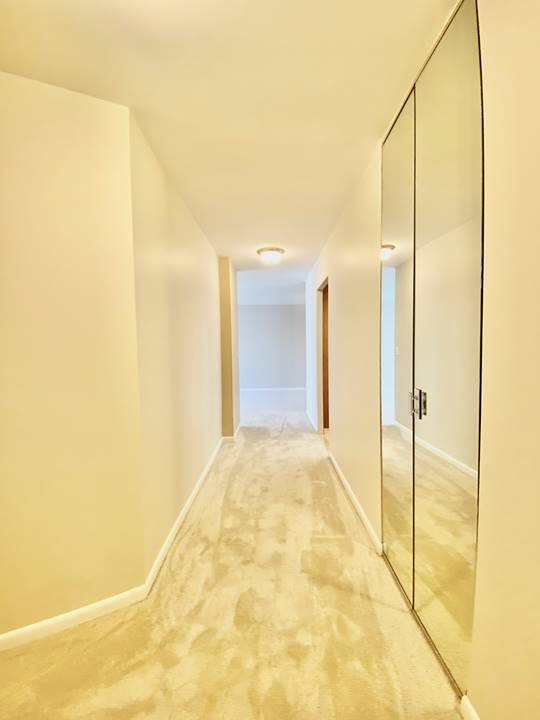 155 N Harbor, Apt 3905, Chicago, IL 60601 - New Eastside