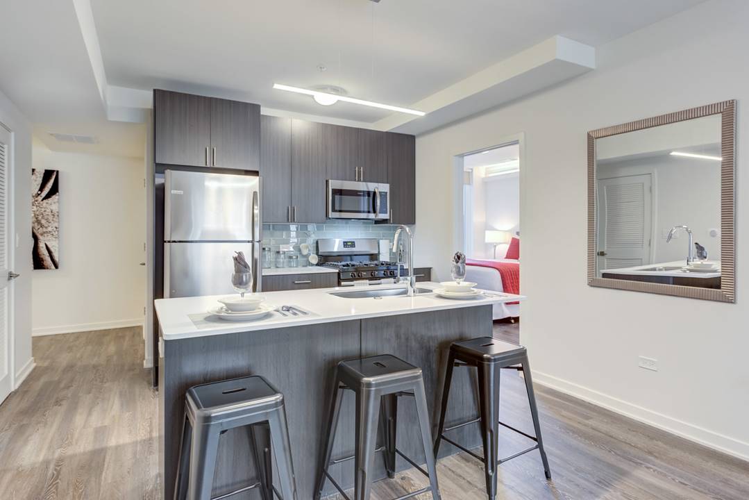 1325 N Wells, Apt 208, Chicago, IL 60610 - Old Town