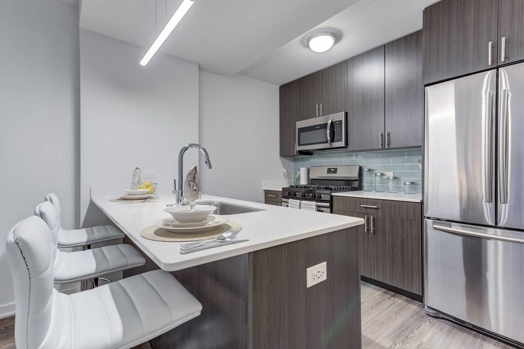 1325 N Wells, Apt 208, Chicago, IL 60610 - Old Town