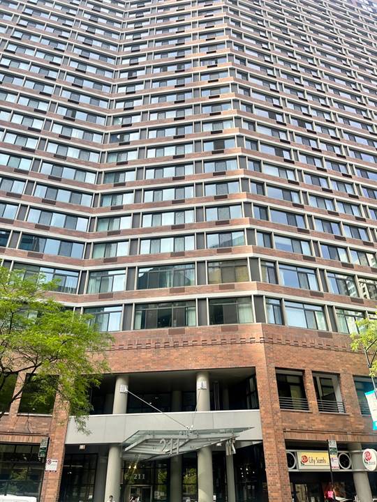 211 E Ohio, Apt 1716, Chicago, IL 60611 - Streeterville