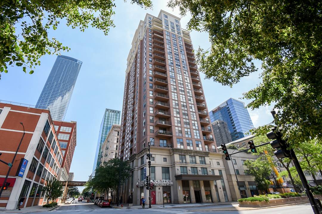1101 S State, Unit 407, Chicago, IL 60605 - South Loop