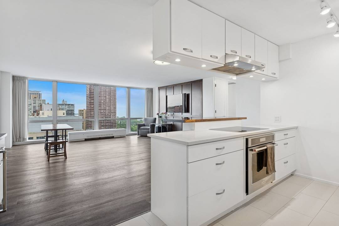 330 W Diversey, Apt 1708, Chicago, IL 60657 - Lakeview