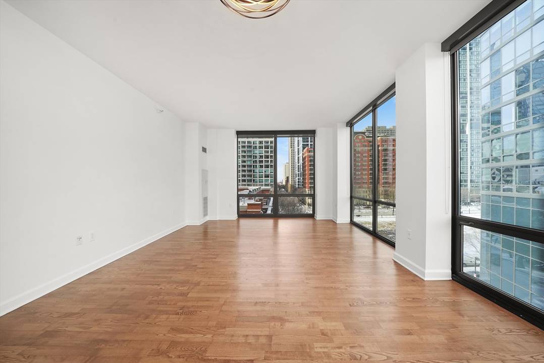 233 E 13th, Unit 601, Chicago, IL 60605 - South Loop