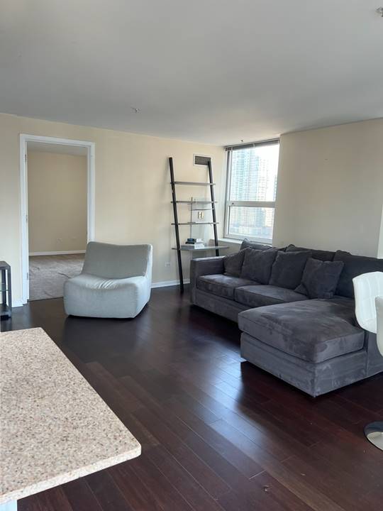 545 N Dearborn, Apt 3107, Chicago, IL 60654 - River North