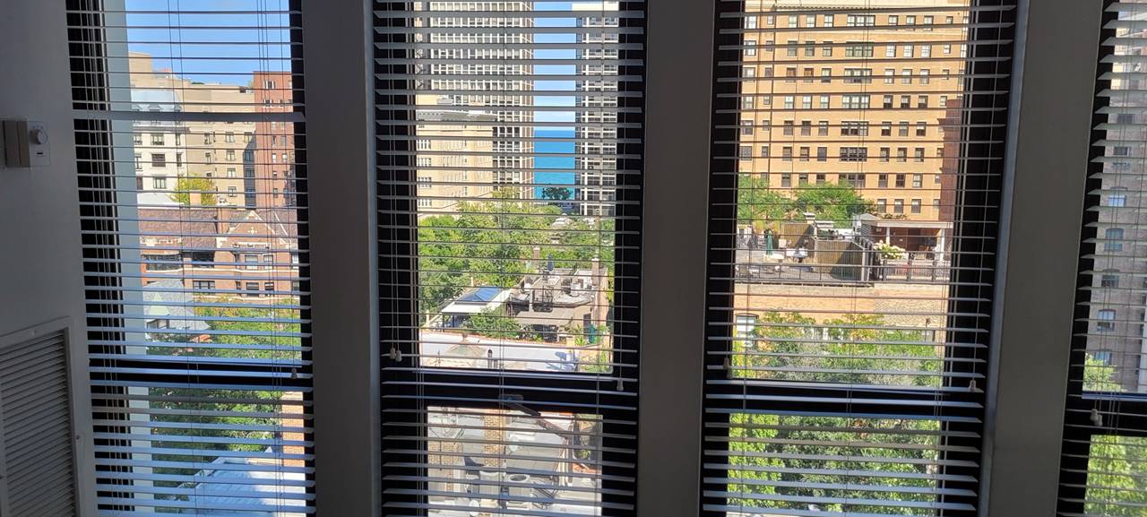 1 E Scott, Unit 1004, Chicago, IL 60610 - Gold Coast