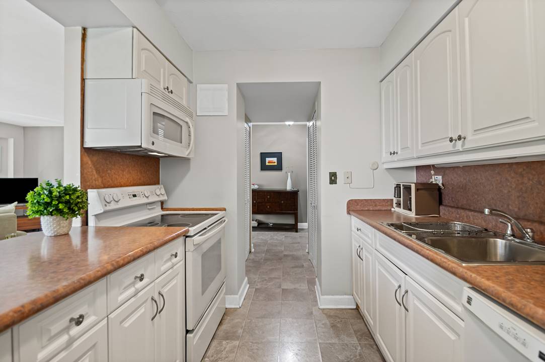 1115 S Plymouth, Unit 312, Chicago, IL 60605 - South Loop