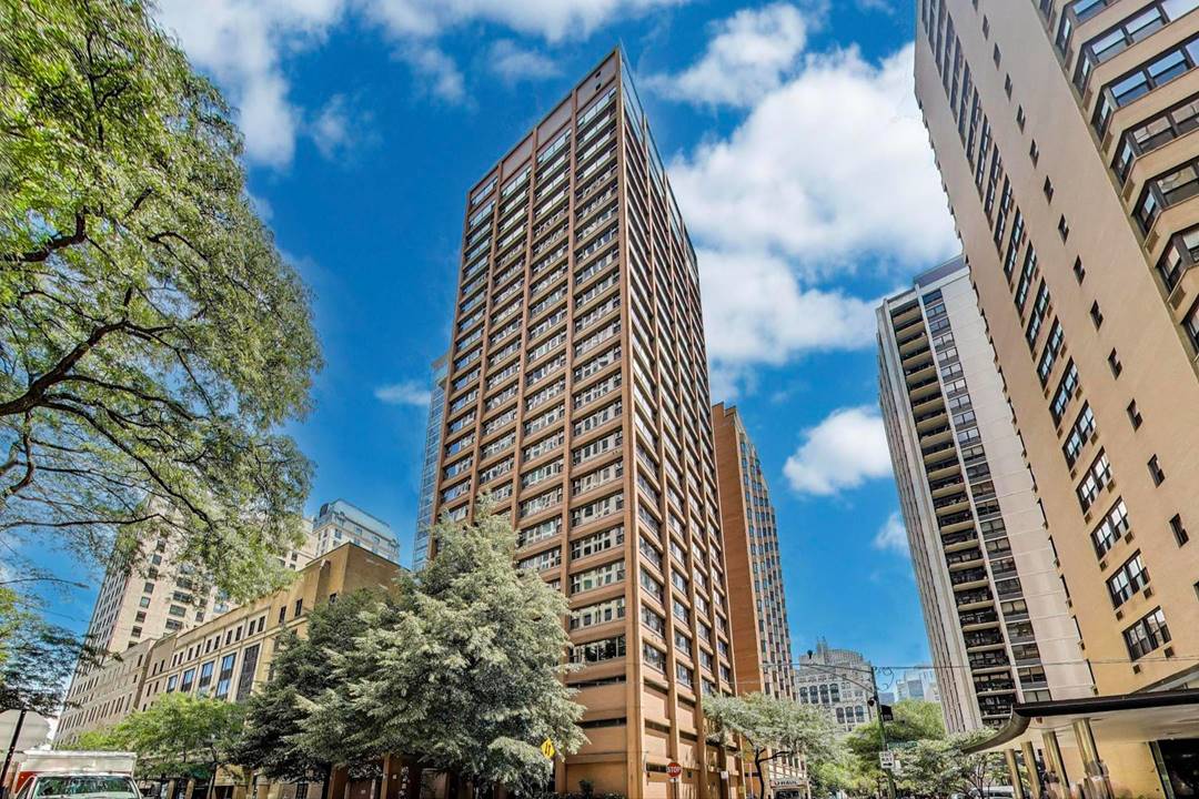 247 E Chestnut, Unit 502, Chicago, IL 60611 - Streeterville