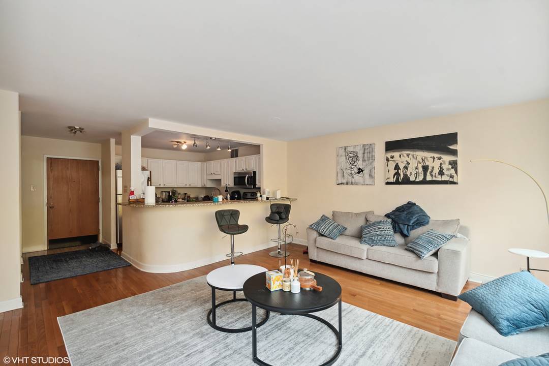211 E Ohio, Apt 1010, Chicago, IL 60611 - Streeterville