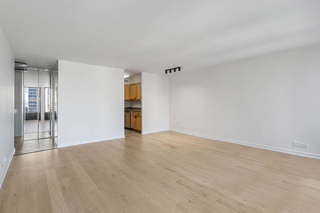 100 E Walton, Unit 26A, Chicago, IL 60611 - Gold Coast