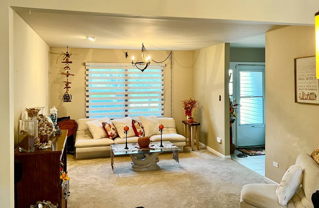 213 Stanyon, Apt 1, Bloomingdale, IL 60108