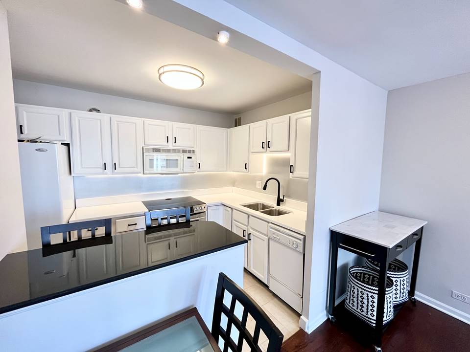100 E Walton, Apt 14A, Chicago, IL 60611 - Gold Coast