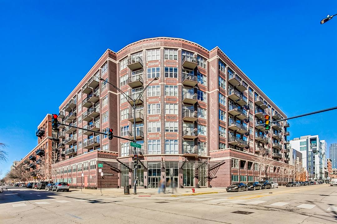 1000 W Adams, Unit 203, Chicago, IL 60607 - West Loop