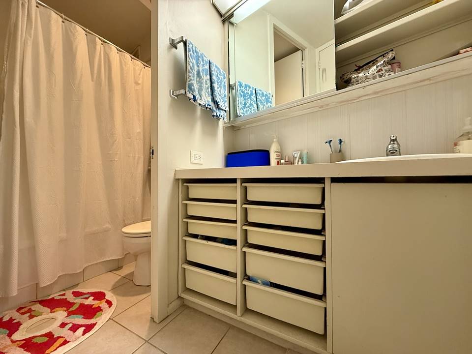 300 N State, Apt 4603, Chicago, IL 60654 - River North