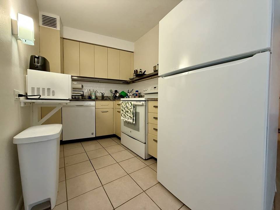 300 N State, Apt 4603, Chicago, IL 60654 - River North