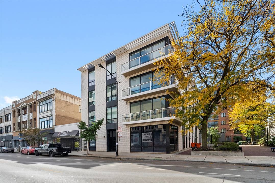 1258 N Milwaukee, Unit 3N, Chicago, IL 60622 - Wicker Park