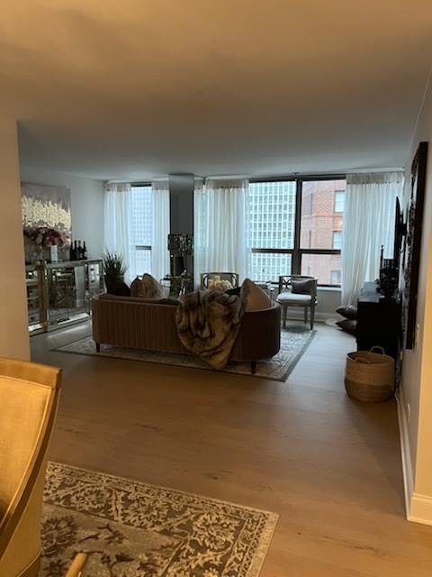 110 E Delaware, Apt 2003, Chicago, IL 60611 - Gold Coast