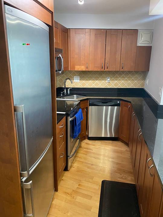 300 N State, Apt 4404, Chicago, IL 60654 - River North