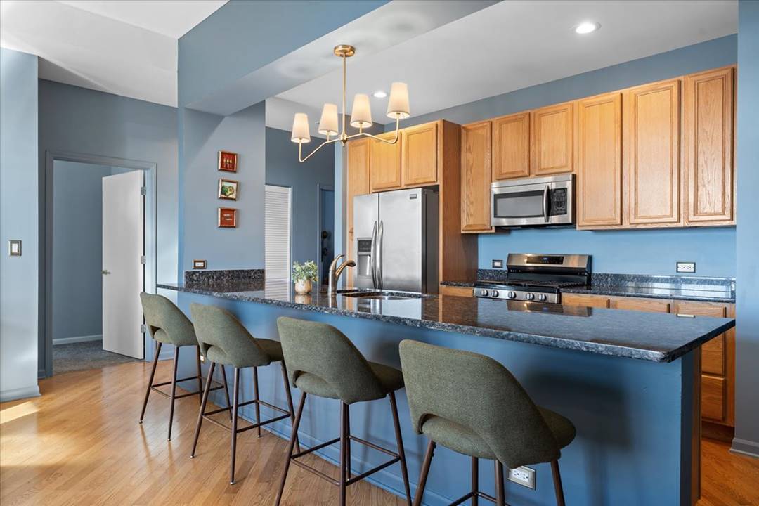 2337 W Wolfram, Unit 514, Chicago, IL 60618 - Avondale