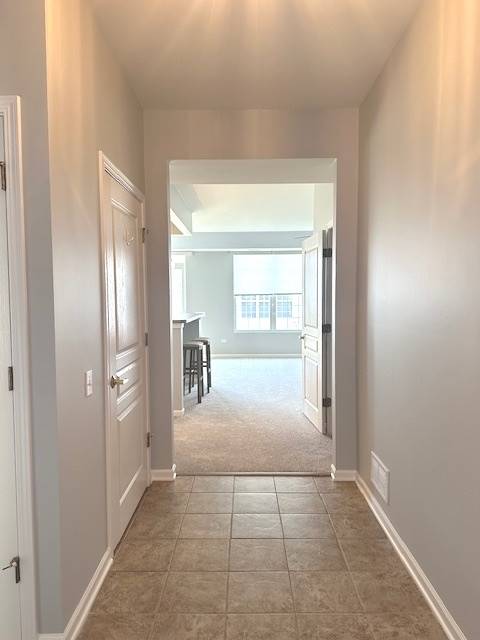 13528 Nealy, Huntley, IL 60142