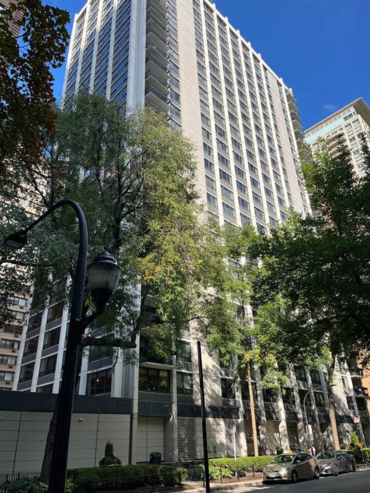 222 E Pearson, Unit 1406, Chicago, IL 60611 - Streeterville
