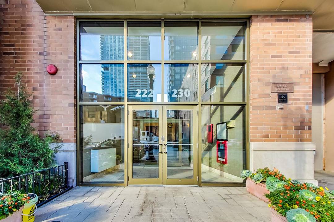 230 W Division, Apt 1307, Chicago, IL 60610 - Old Town