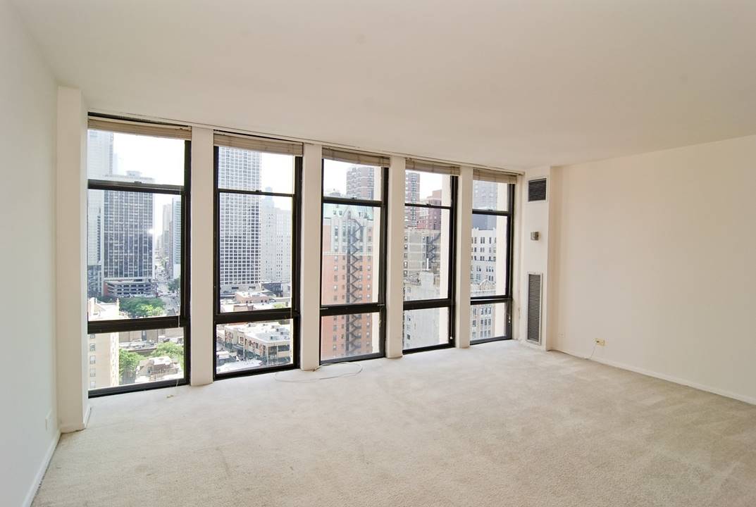 1 E Scott, Apt 1906, Chicago, IL 60610 - Gold Coast