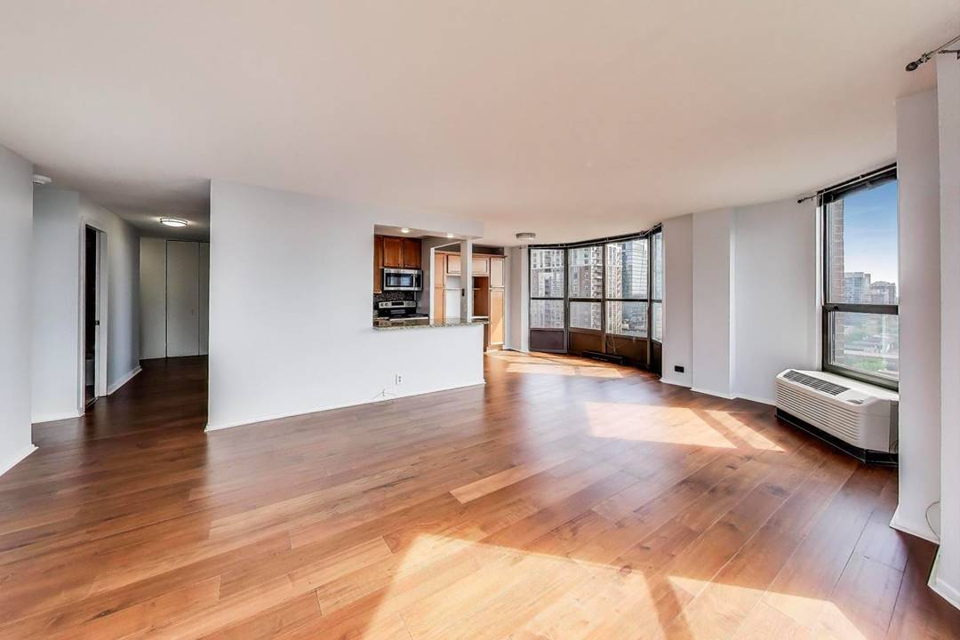 901 S Plymouth, Unit 1606, Chicago, IL 60605 - South Loop