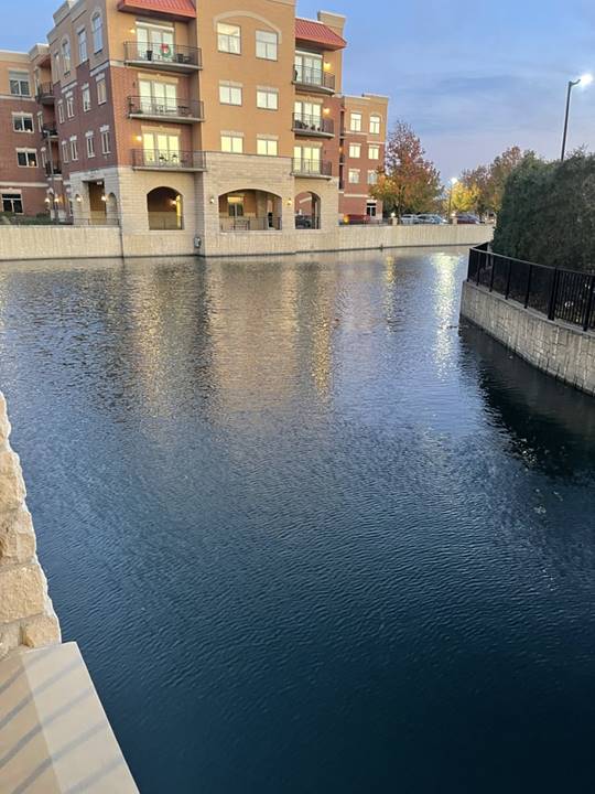 1210 N Foxdale, Unit 109, Addison, IL 60101