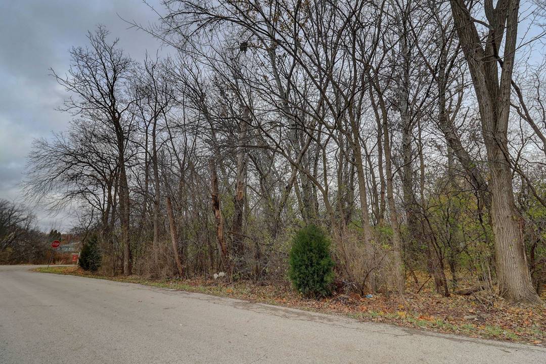 22771 Lake Park, Round Lake Beach, IL 60073