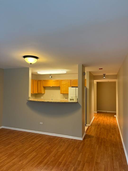 345 N Lasalle, Apt 209, Chicago, IL 60654 - River North