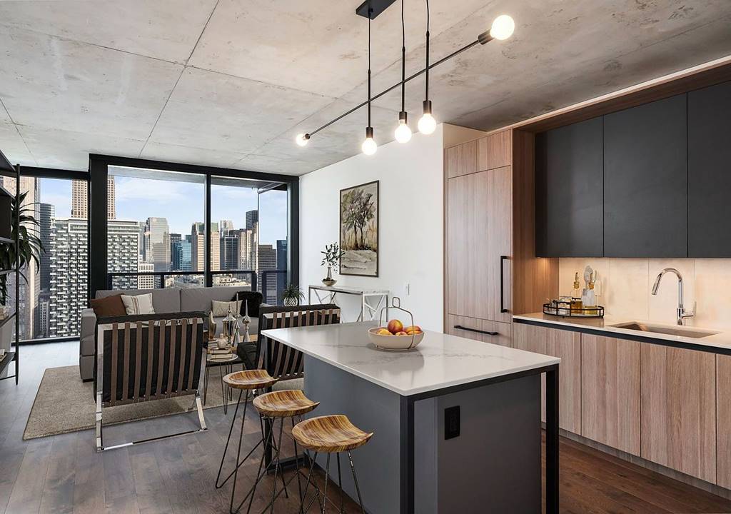 234 W Polk, Apt 3806, Chicago, IL 60607 - South Loop