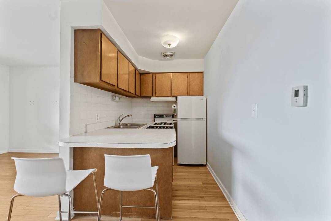 4623 N Chester, Unit 206, Chicago, IL 60656 - Schorsch Forest View