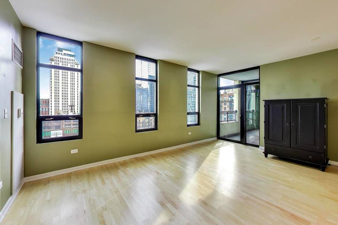 1255 S State, Unit 1017, Chicago, IL 60605 - South Loop