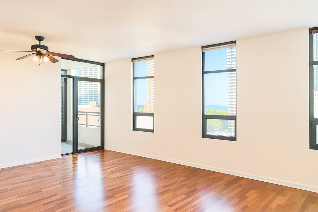 1255 S State, Apt 1203, Chicago, IL 60605 - South Loop